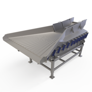 BELT COOKER/BLANCHER - FoodeQ Engineering